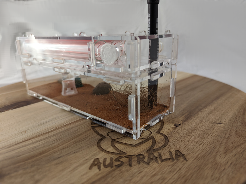 Bullant Den Stacker – Ant Shop Australia